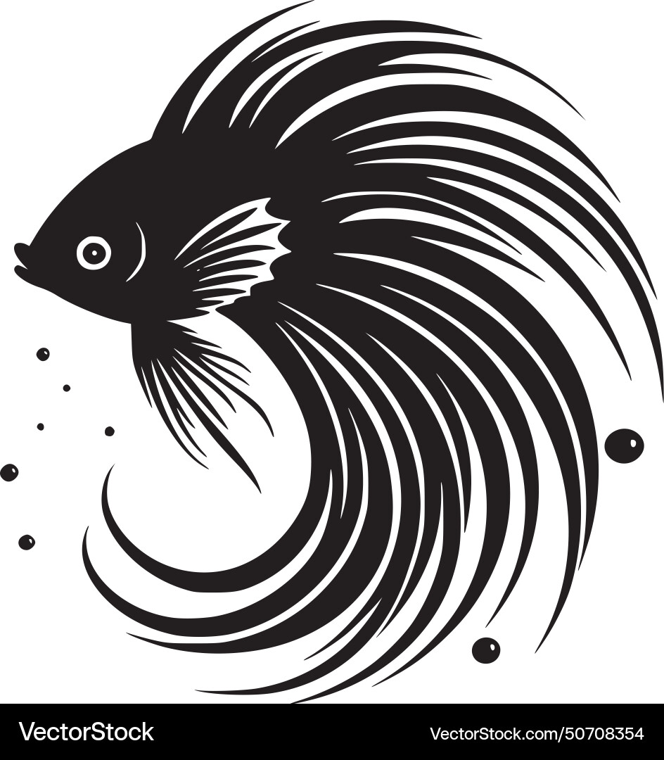 Betta fish - black and white Royalty Free Vector Image