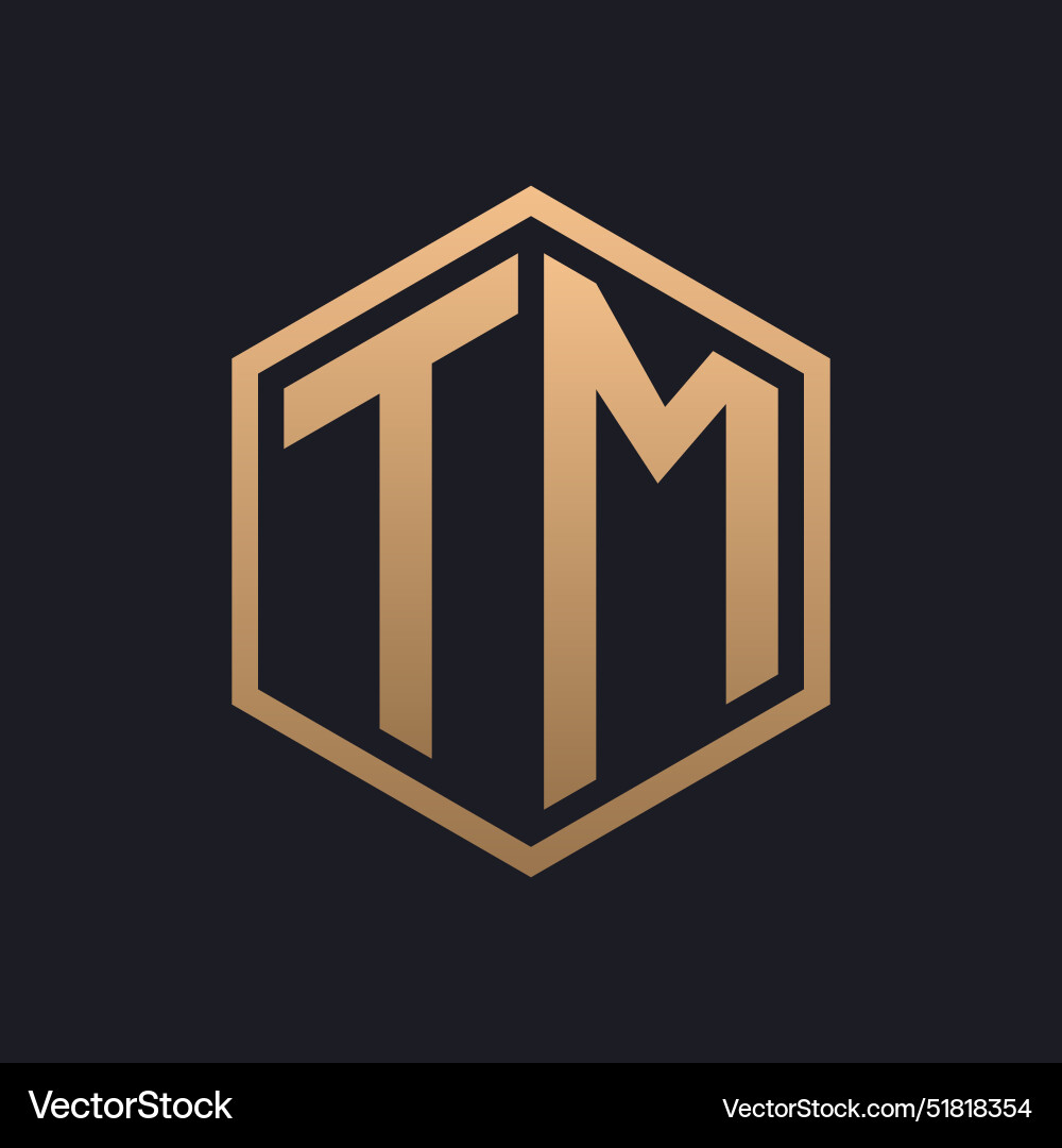 Elegant hexagon letter tm logo design initial Vector Image