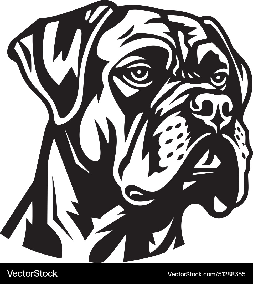 Boxer - high quality logo ideal for t-shirt Vector Image