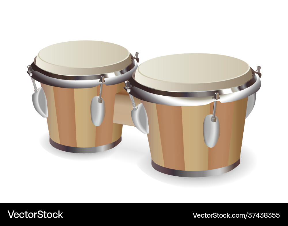 Brown bongos Royalty Free Vector Image - VectorStock