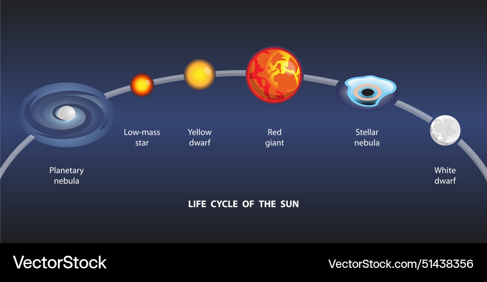 3d isometric flat of evolution Royalty Free Vector Image