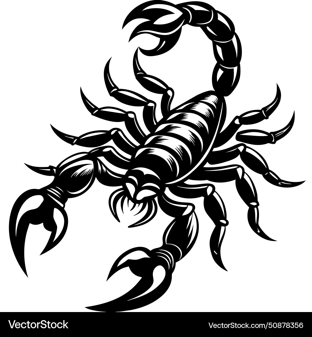 Aggressive black and white scorpion for tattoos Vector Image