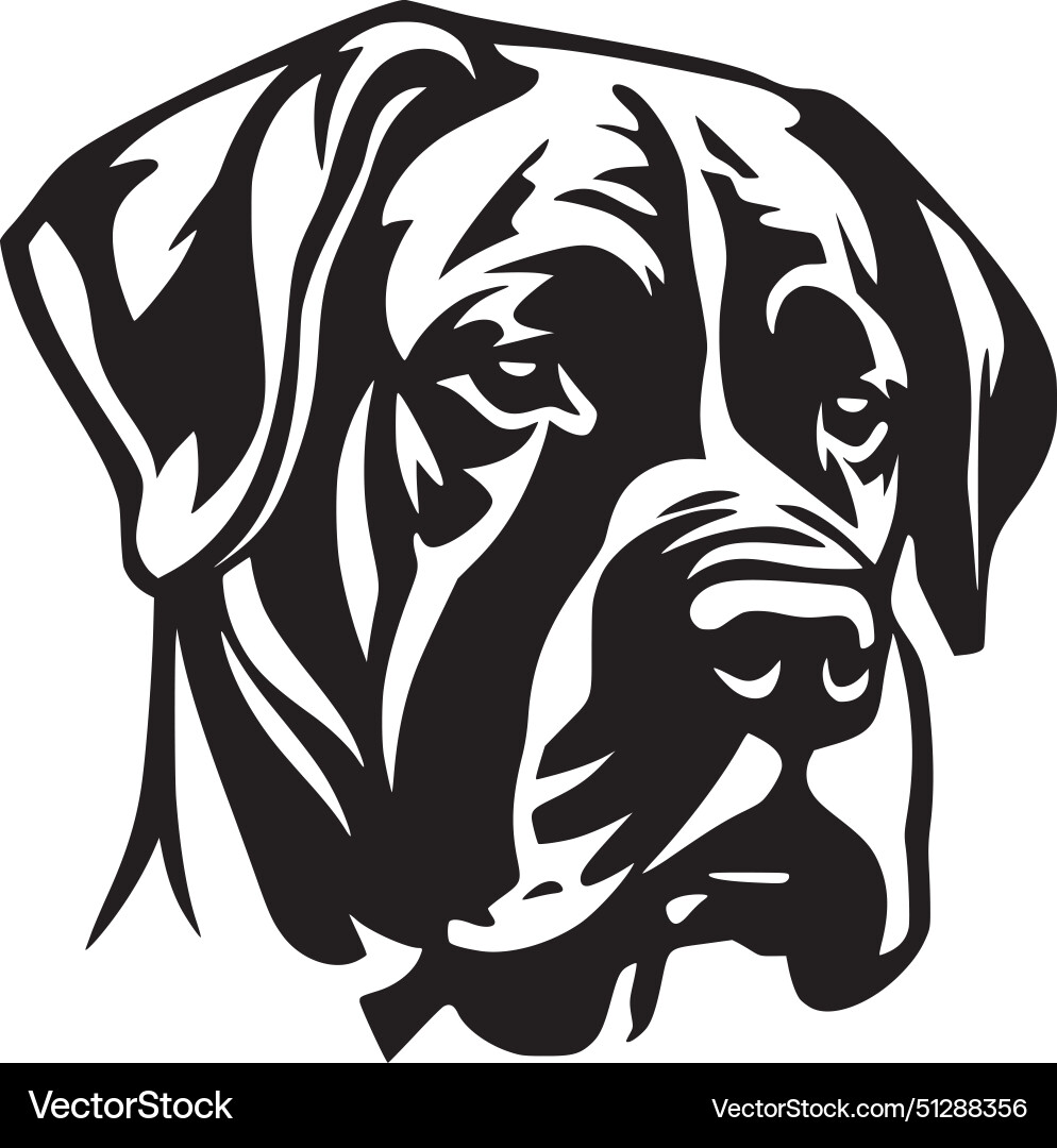 Boxer - black and white Royalty Free Vector Image