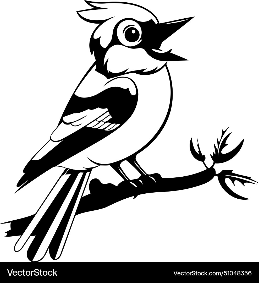 Cartoon blue jay bird sitting on a branch Vector Image