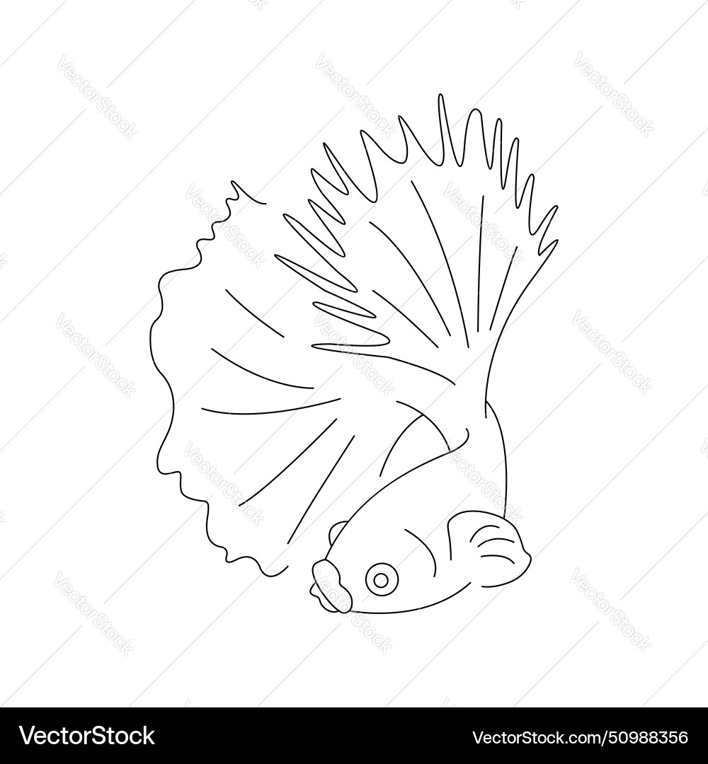 Cute cartoon tropical fish betta splendens Vector Image