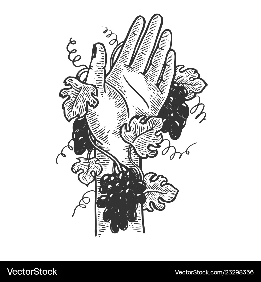 Grapevine Hand Braided Royalty Free Vector Image