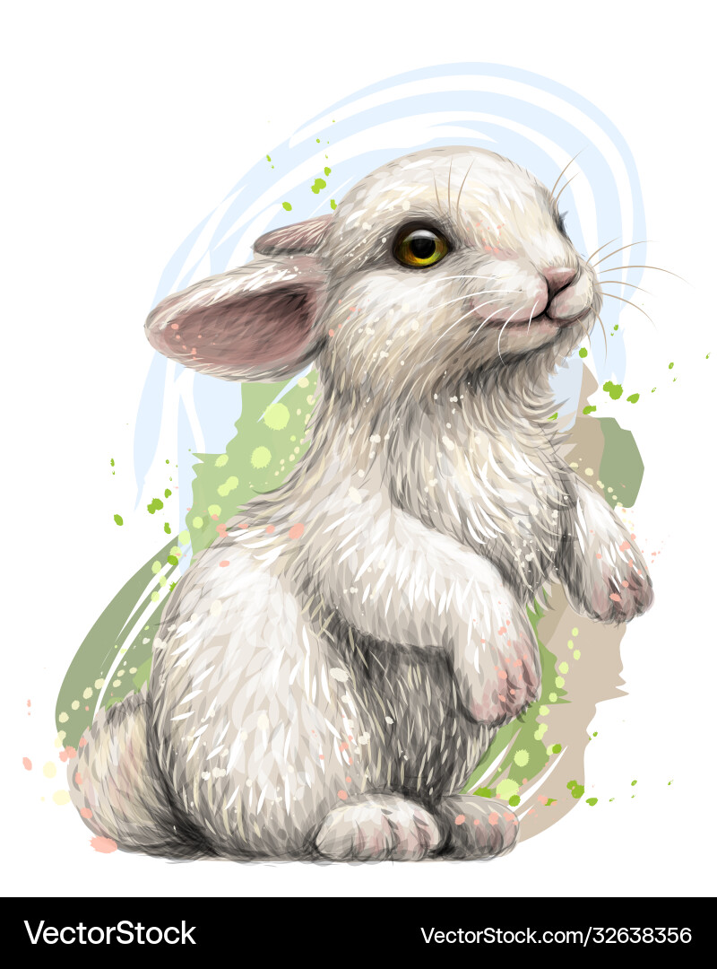 Rabbit color artistic graphic image a Royalty Free Vector