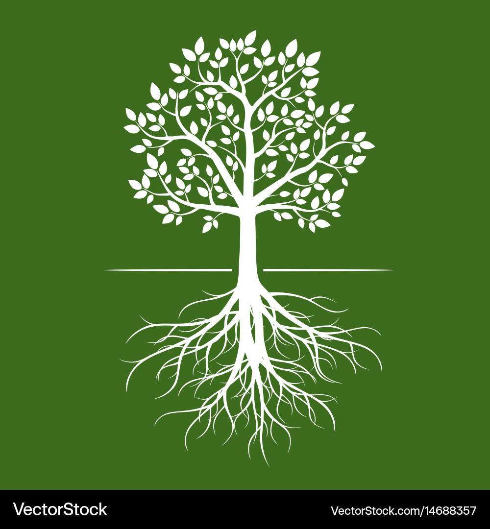 White Tree Roots on Green Background Royalty Free Vector