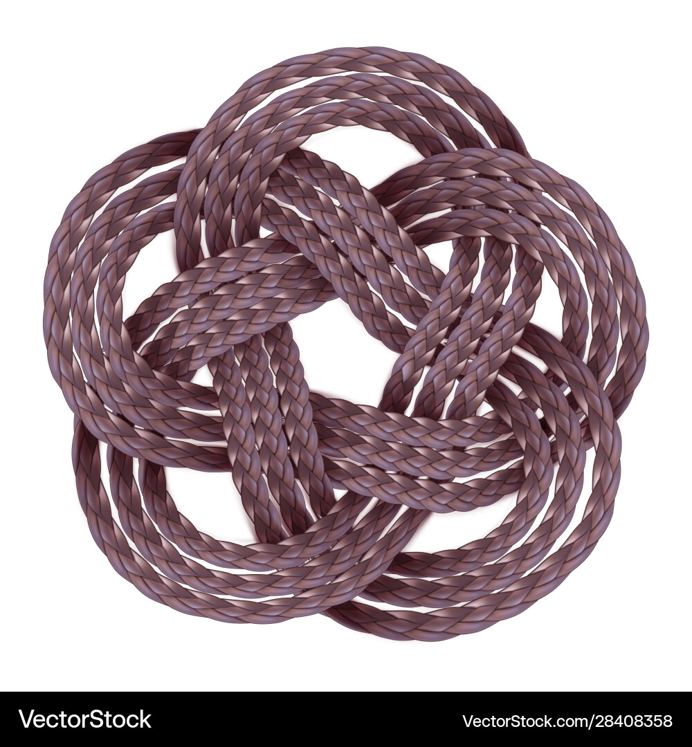 Decorative braided element three strand cord Vector Image