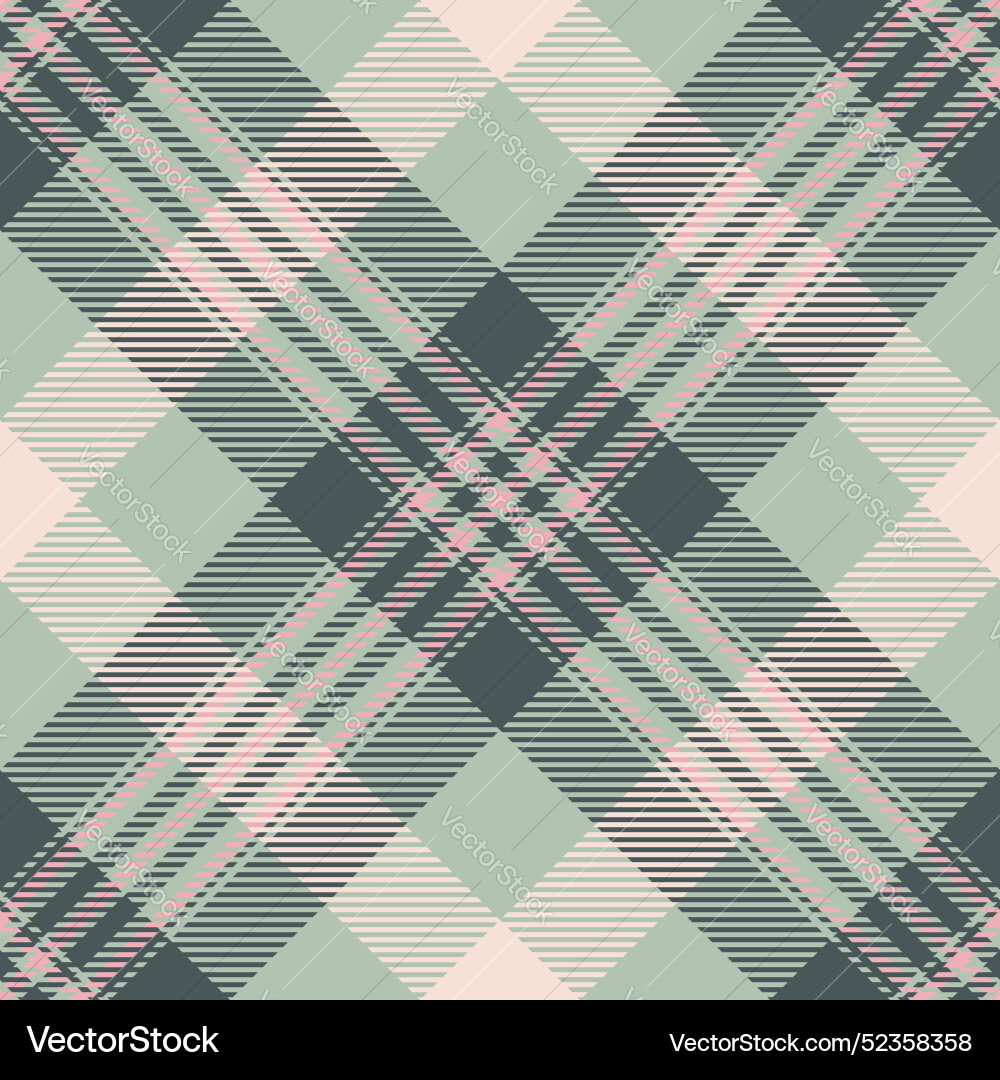 Stationary pattern plaid check package textile Vector Image