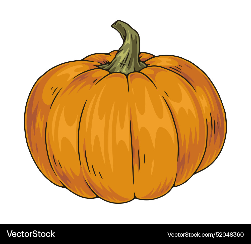 Organic pumpkin colorful detailed element Vector Image