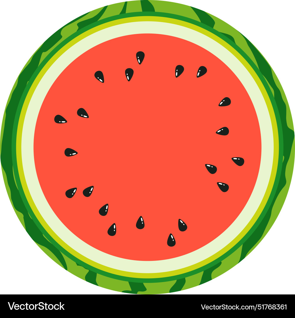 Fresh round slice of watermelon Royalty Free Vector Image