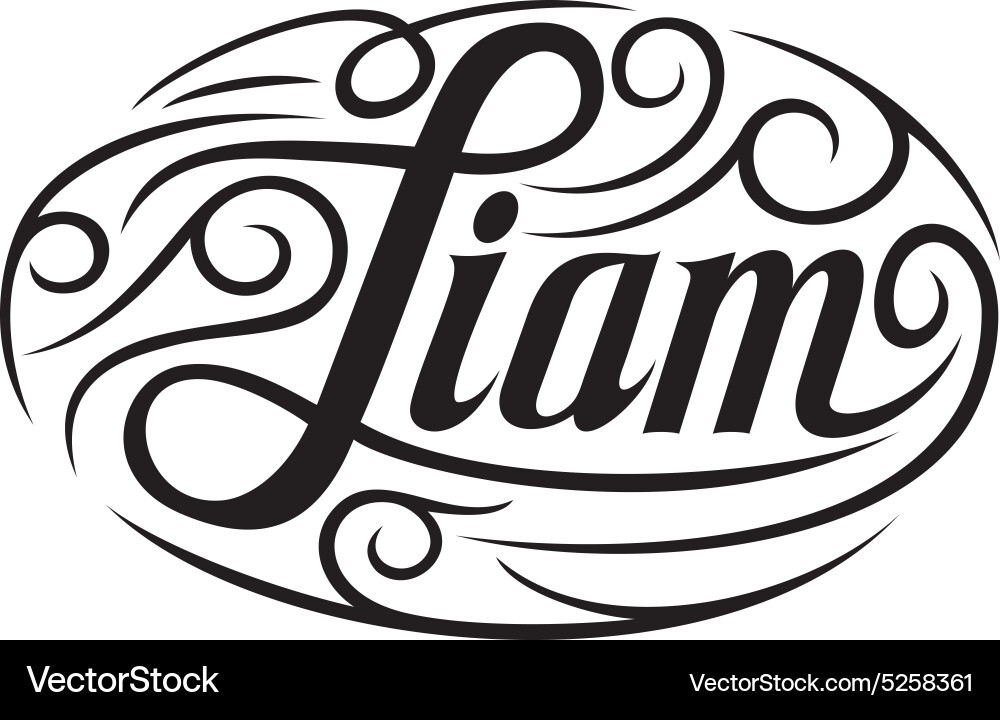 Liam name Royalty Free Vector Image - VectorStock