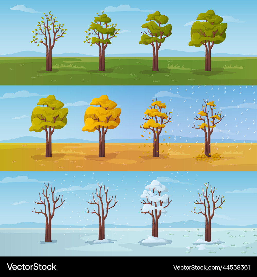 Seasons and weather change tree view set Vector Image
