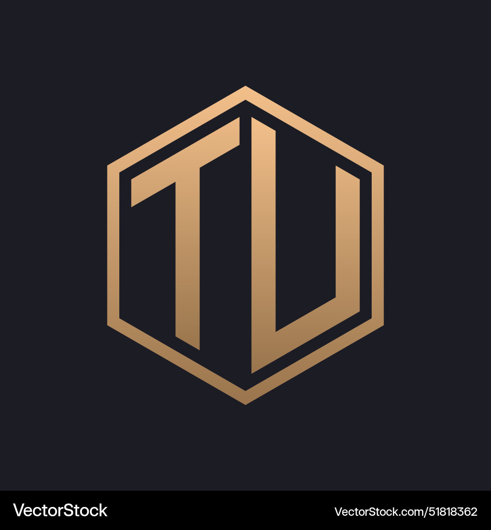 Elegant hexagon letter tu logo design initial Vector Image