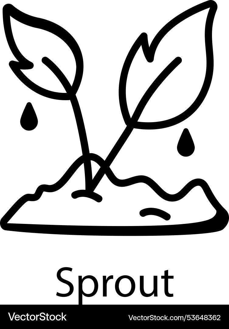 Sprout Royalty Free Vector Image - VectorStock