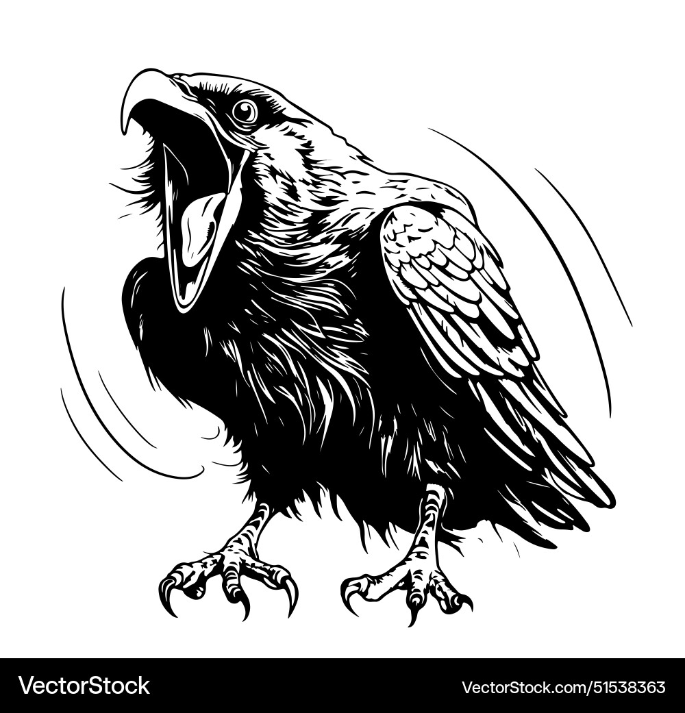 Hand drawn engraving pen and ink crow Royalty Free Vector