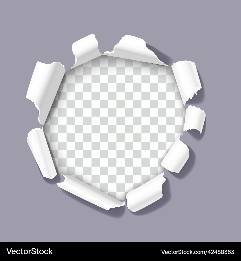 Torn hole in paper sheet on a transparent Vector Image