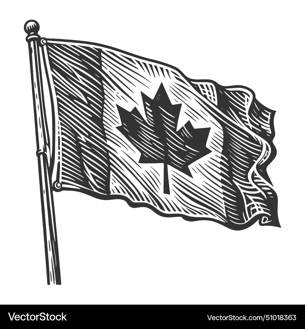 Waving canadian flag engraving Royalty Free Vector Image