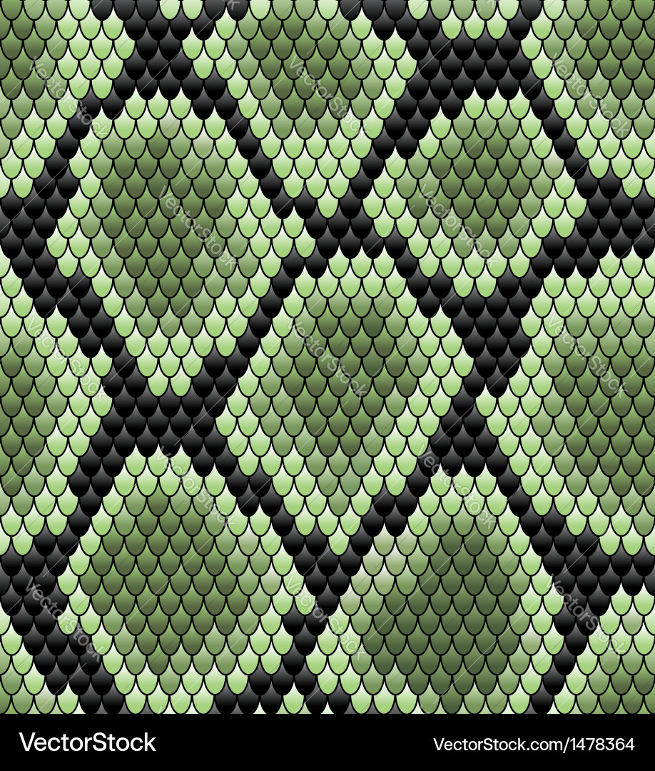 Cartoon Skin Vector Images (over 52,000)