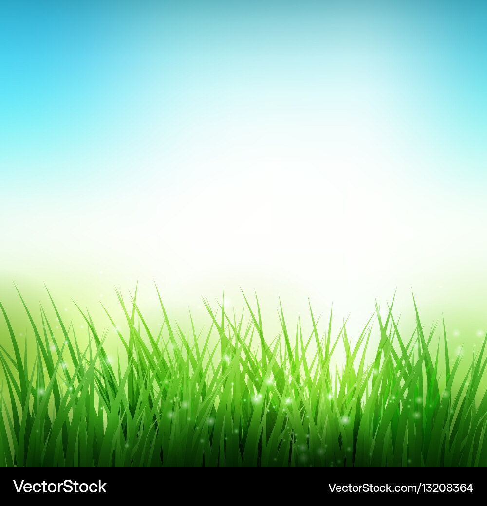 Natural green grass background Royalty Free Vector Image