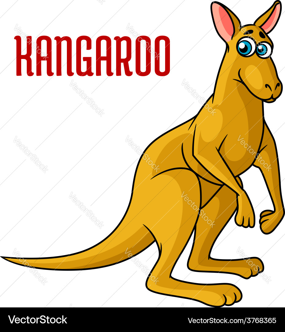 Cartoon kangaroo character Royalty Free Vector Image
