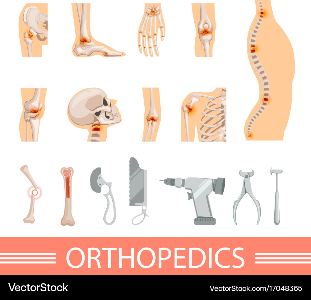 Orthopedic icons set human skeleton bones Vector Image