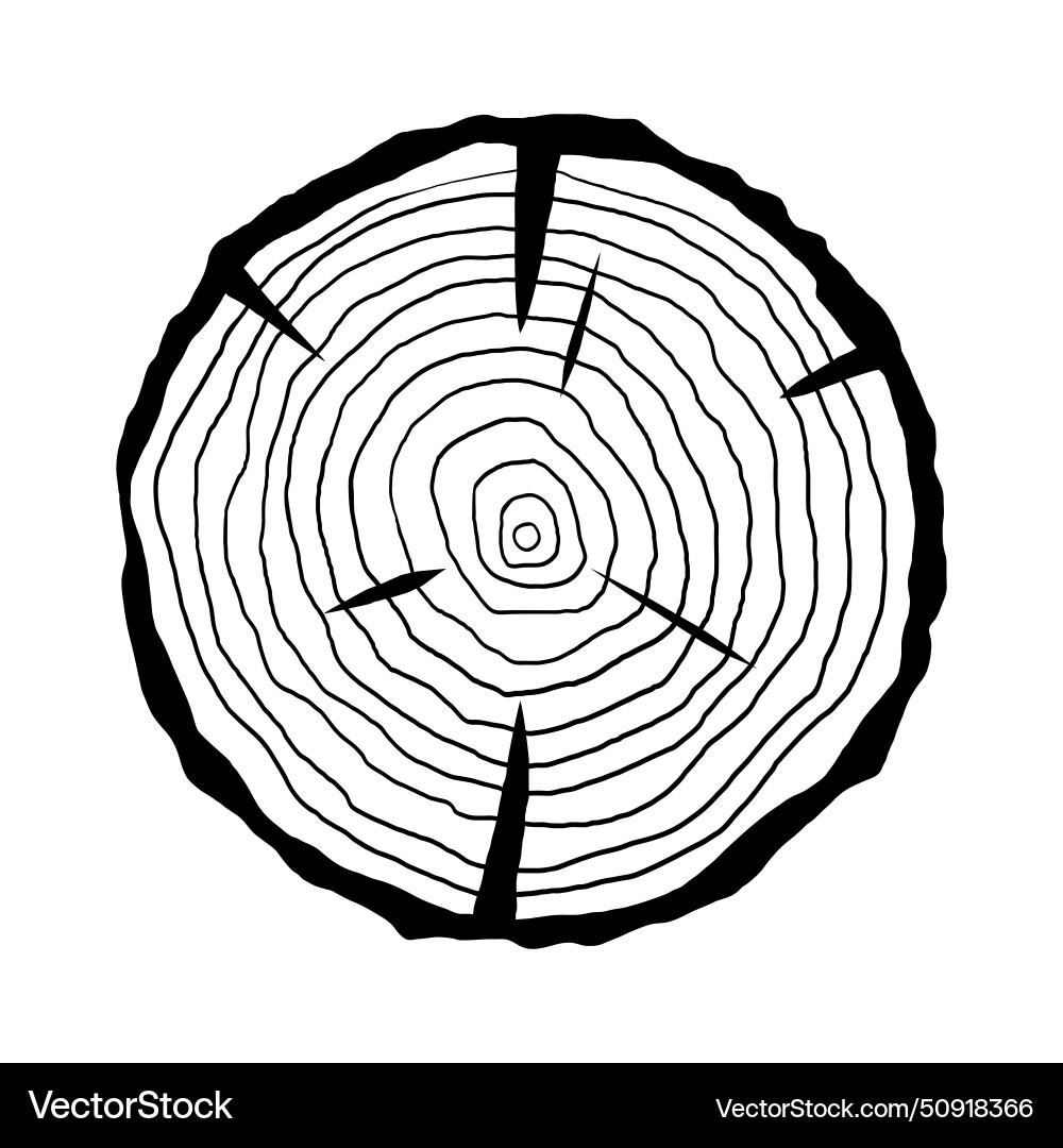 Tree rings icons set Royalty Free Vector Image