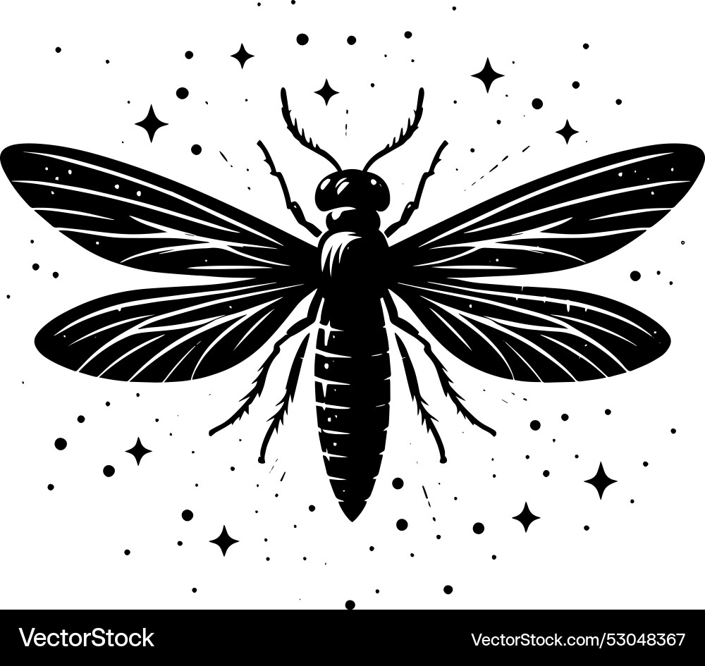 Beautiful firefly insect silhouette isolated on a Vector Image