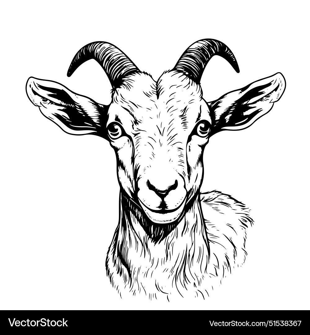 Cute goat hand drawn Royalty Free Vector Image