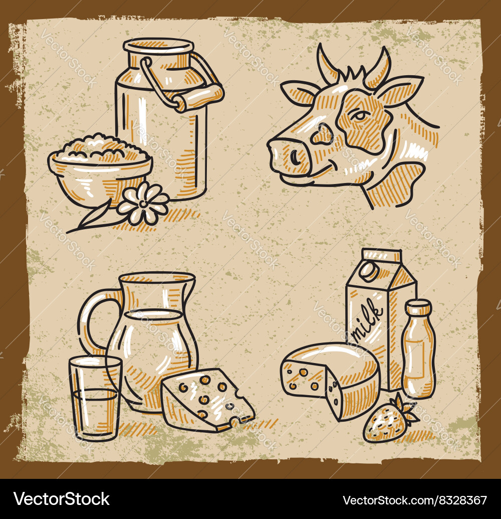 Milk products Royalty Free Vector Image - VectorStock