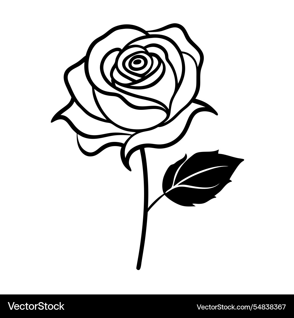 Rose flower line art Royalty Free Vector Image