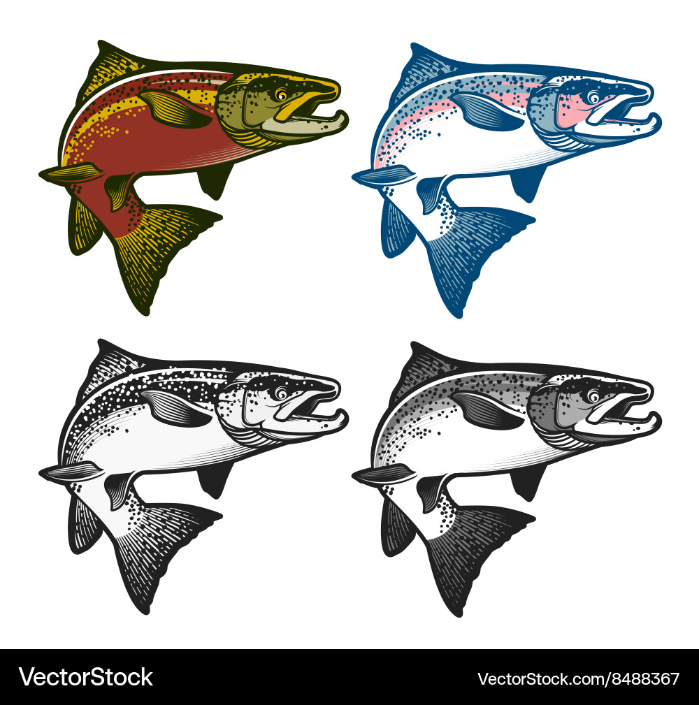 Salmon Fishing Emblems & Labels Royalty Free Vector