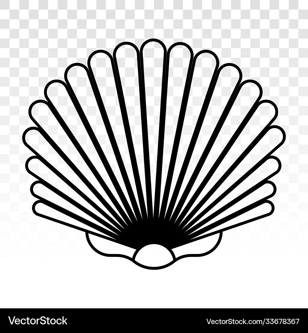 Sea shells shellfish line art icons for apps Vector Image