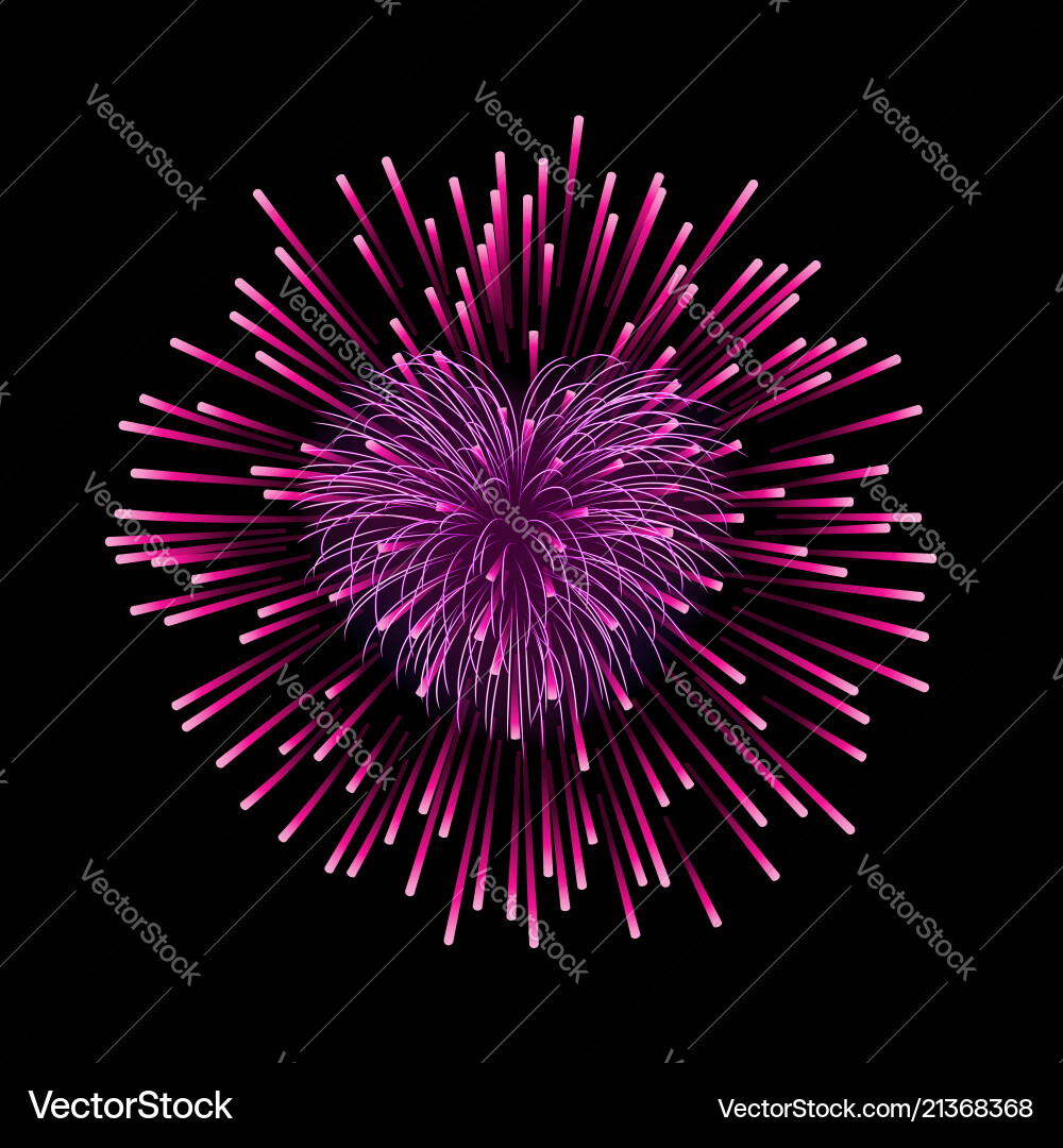 Beautiful heart-firework pink romantic firework Vector Image