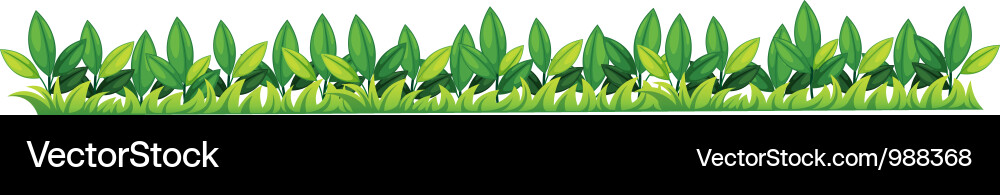 Cartoon Grass Border Royalty Free Vector Image
