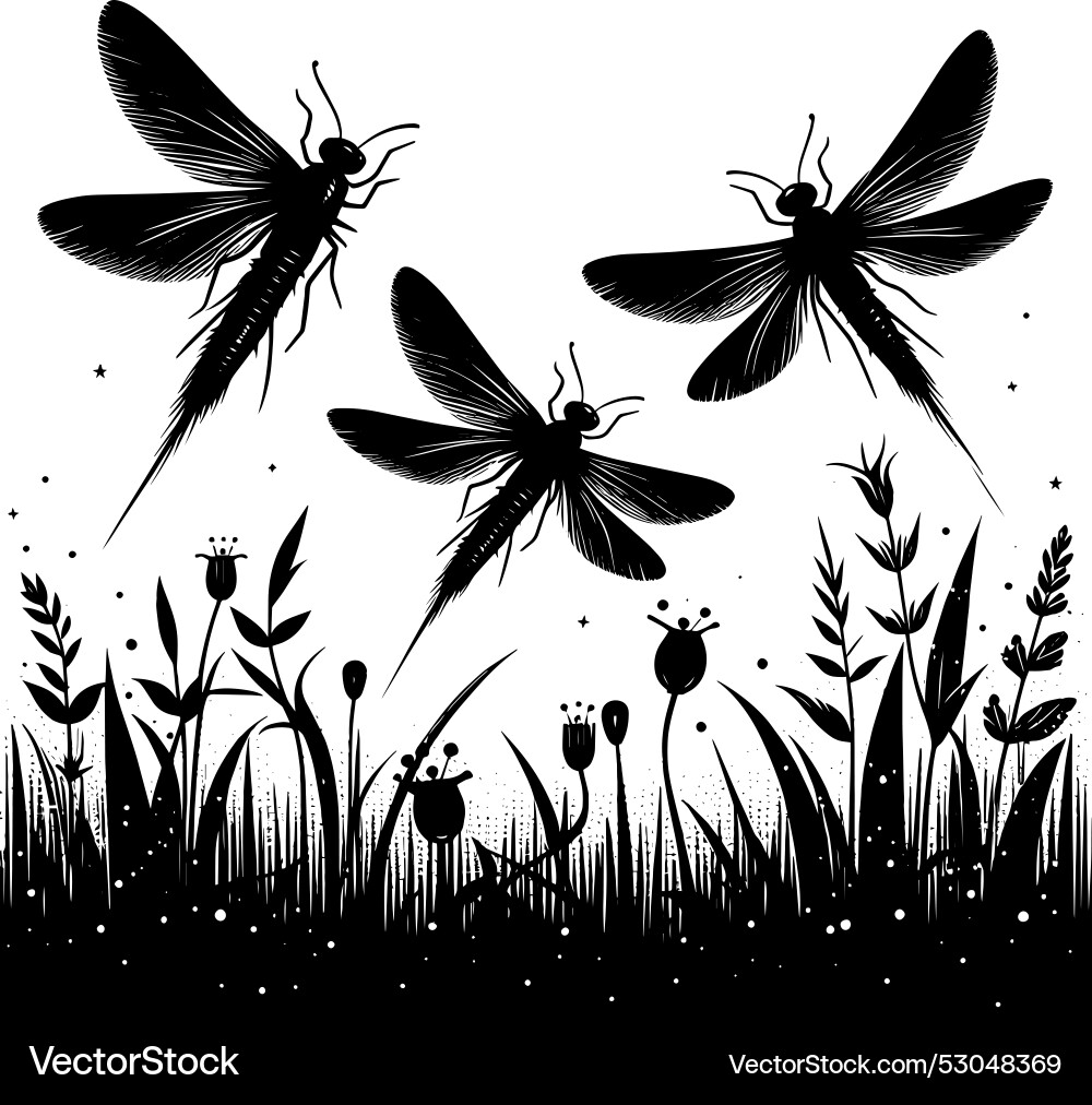 Beautiful firefly insect silhouette isolated on a Vector Image