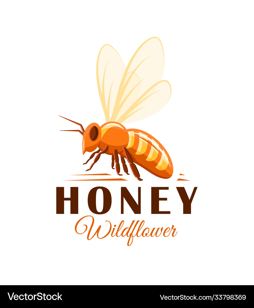 Bee side view isolated on white background Vector Image