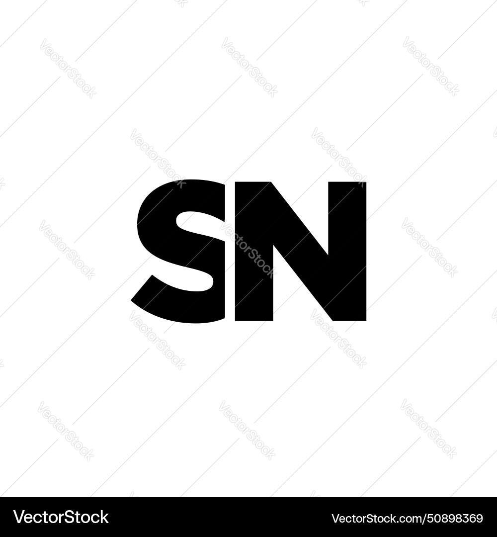Letter s and n sn logo design template minimal Vector Image