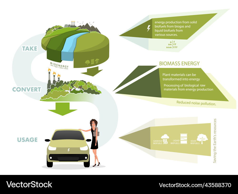 Infographics renewable energy earth sun wind Vector Image