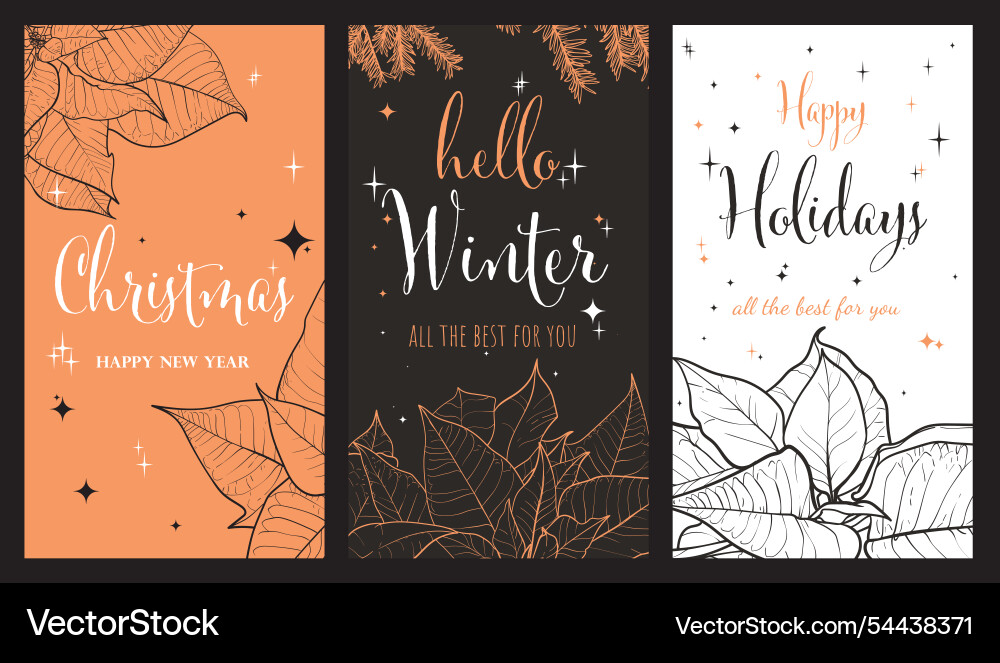 Christmas visuals with poinsettia Royalty Free Vector Image