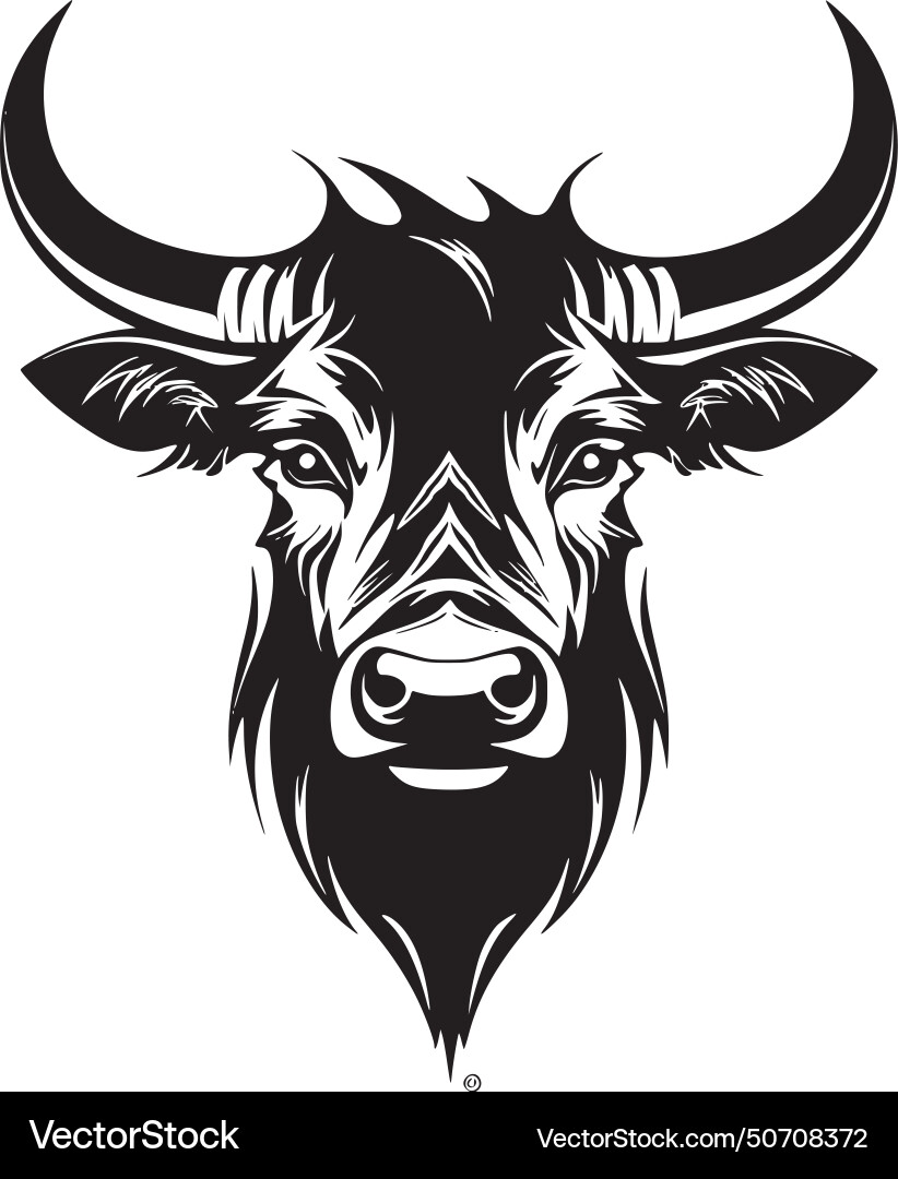 Bull - black and white Royalty Free Vector Image