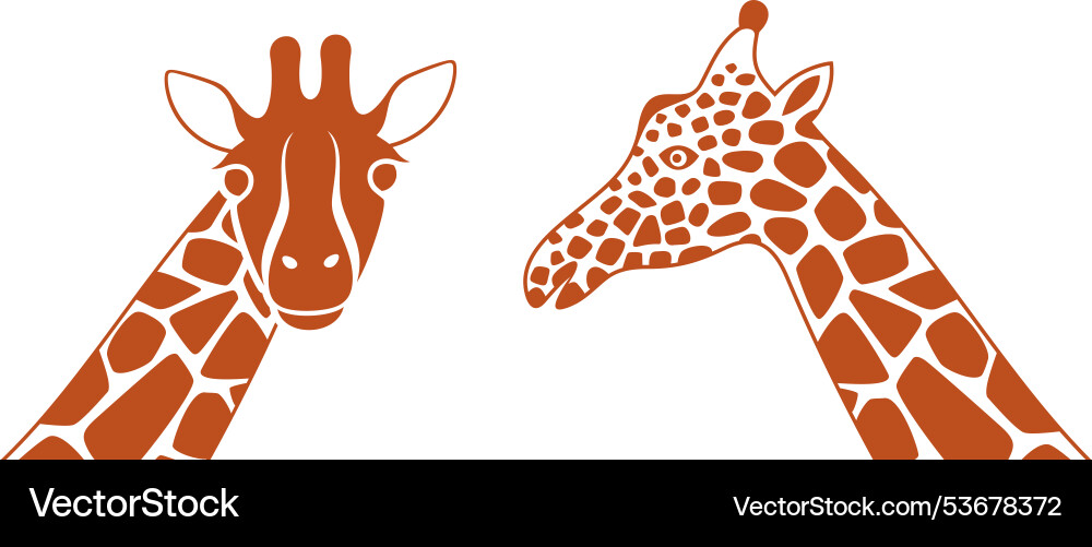 Giraffe Royalty Free Vector Image - VectorStock