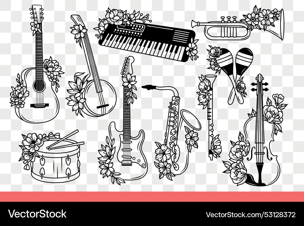 Musical instruments for youth group or orchestra Vector Image