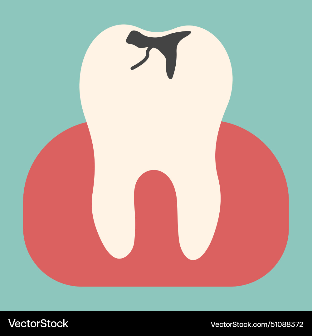 Tooth single 8 Royalty Free Vector Image - VectorStock