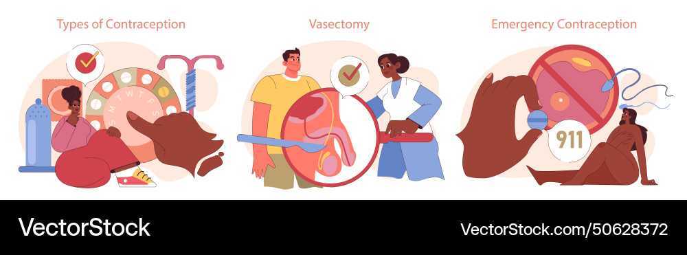 Types of contraception set insightful overview Vector Image