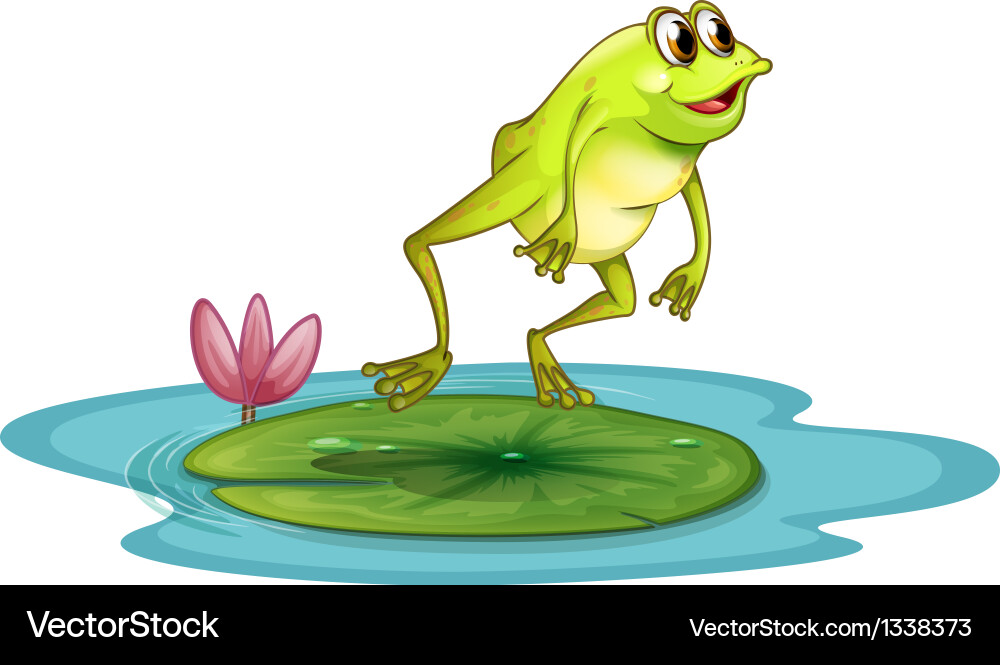 A frog at the pond Royalty Free Vector Image - VectorStock