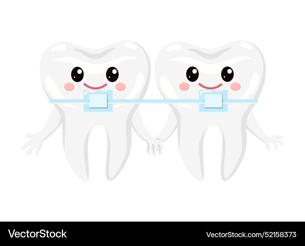 Two cartoon teeth with braces for dentistry Vector Image