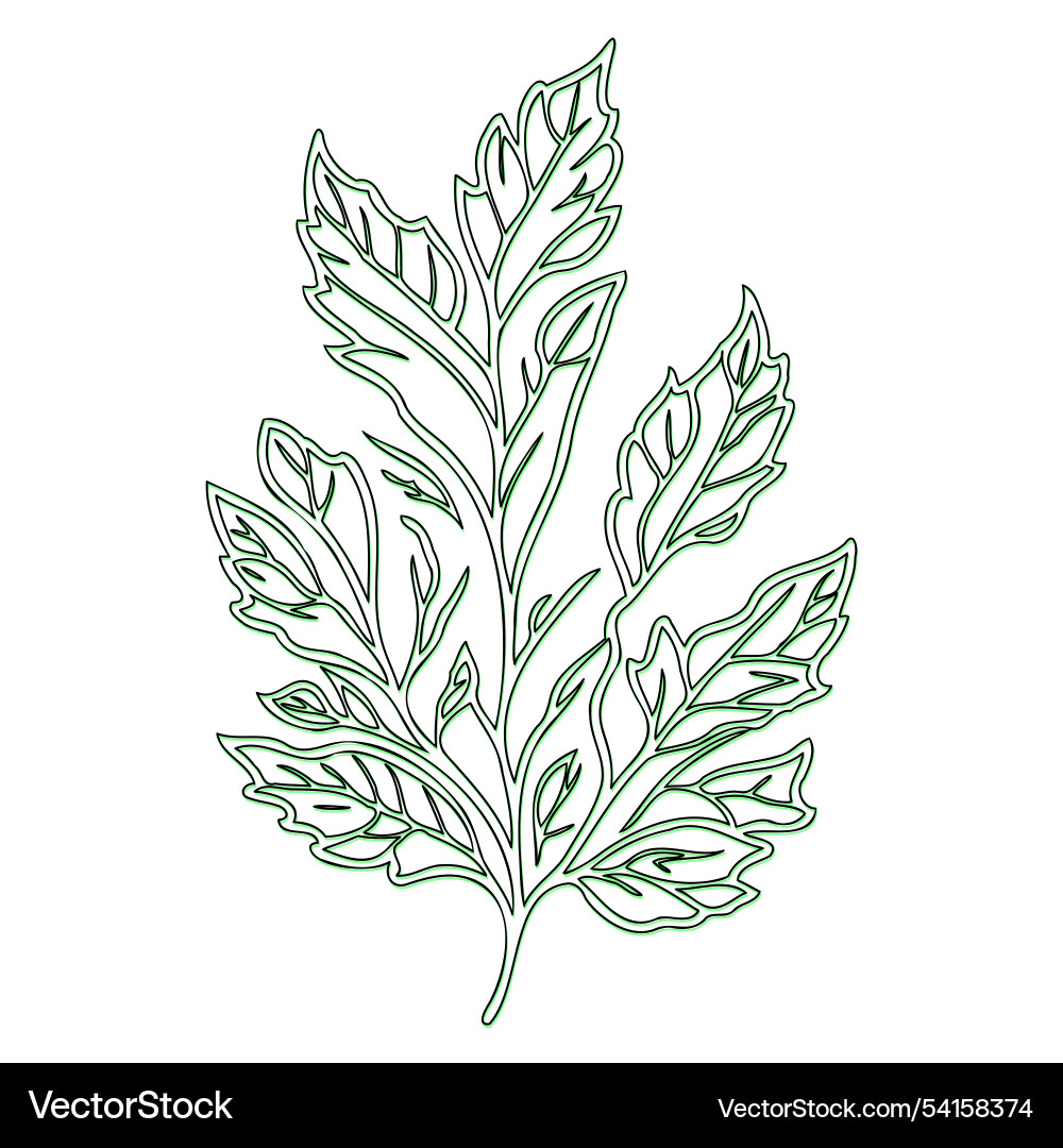 Oak flower outline sketch green Royalty Free Vector Image