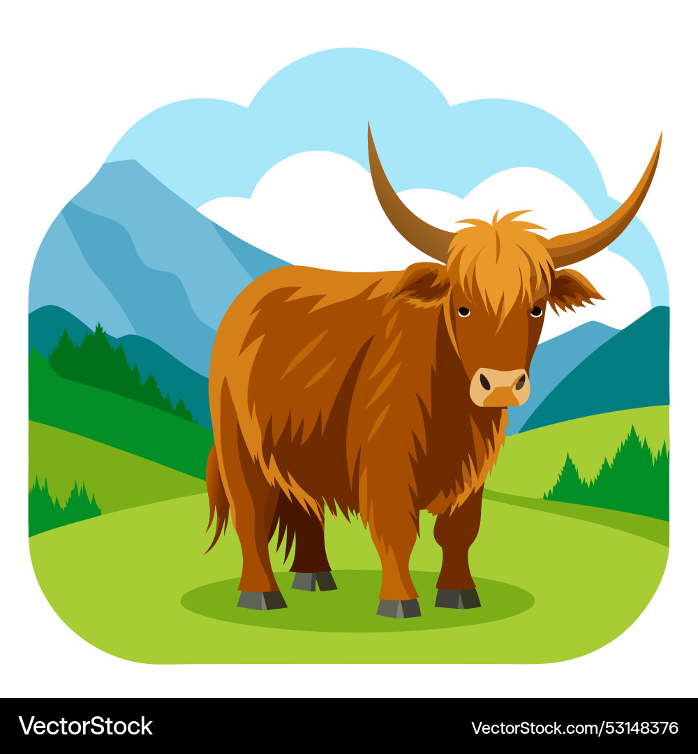 Highland cow in the field Royalty Free Vector Image